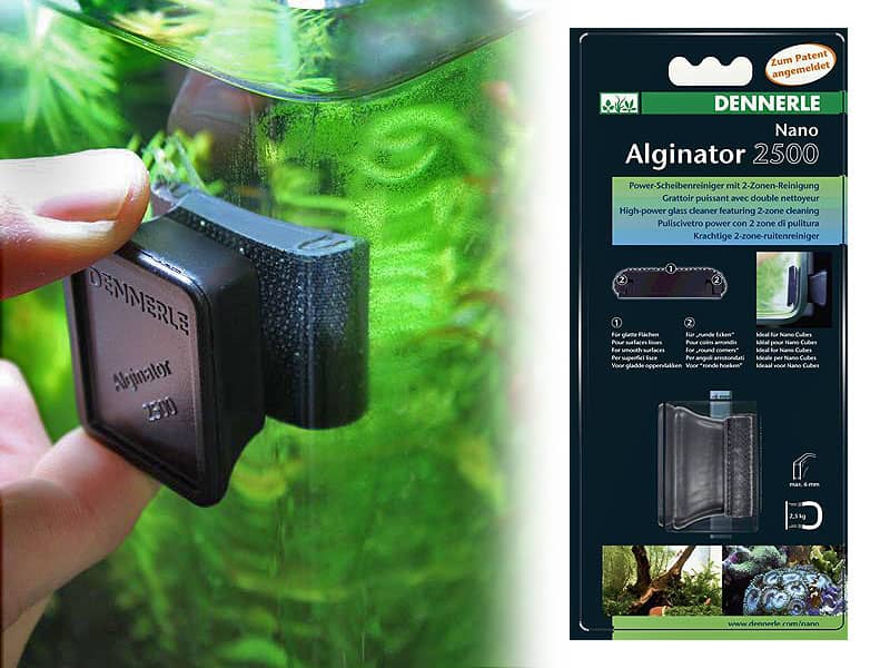 Dennerle Nano Alginator 2500, Scheibenmagnet | GARNELENHAUS