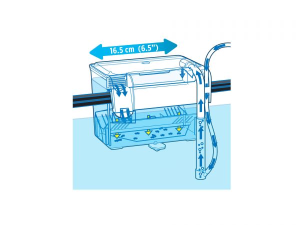 Fluval Hang-On Breeding Box M, Aufzuchtbox | GARNELENHAUS